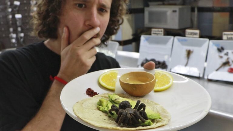 ¿Sabías que es posible comer una tarántula? Descubre su sabor y ...