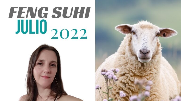 Descubre la magia de la voladora tienda física en tu ciudad ...