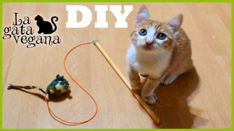 Divierte a tu gato con una caña de pescar: Consejos y trucos ...
