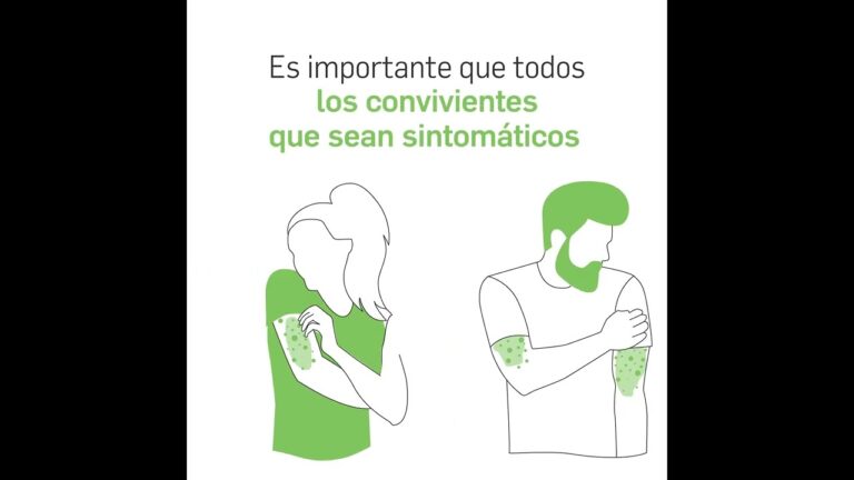 Consejos para prevenir la sarna en gatos: ¡Mantén a tu felino saludable! | Actualizado ...